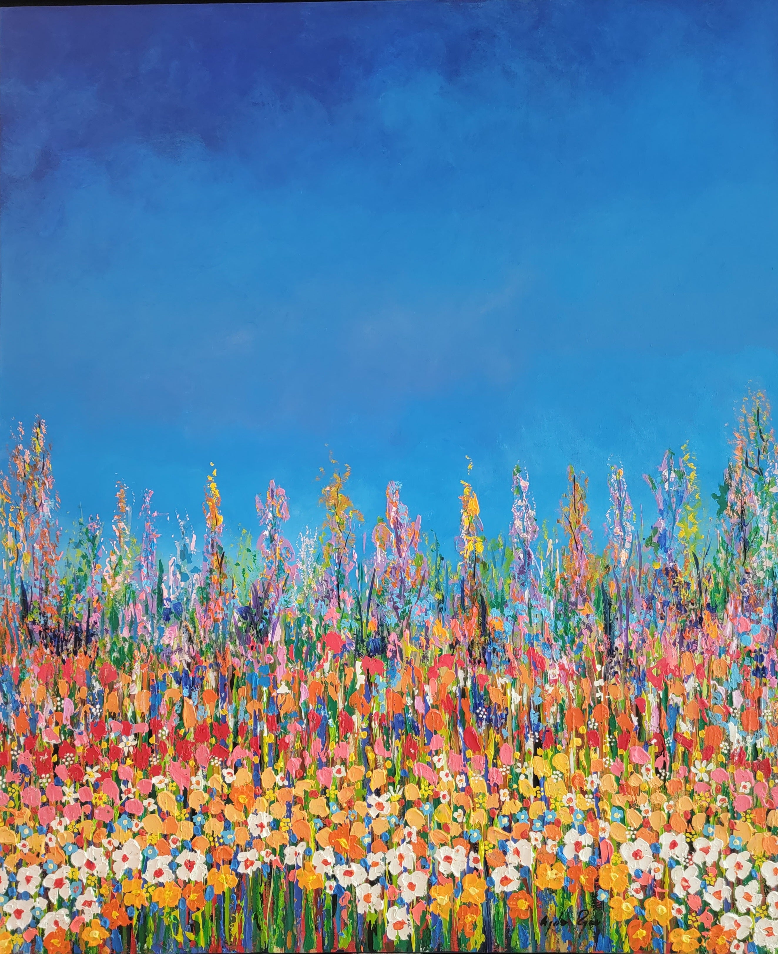 Amanecer Sohogalleries amanecer-sohogalleries